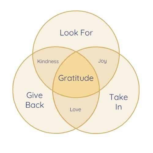 5-Day Gratitude Challenge - Lison Mage